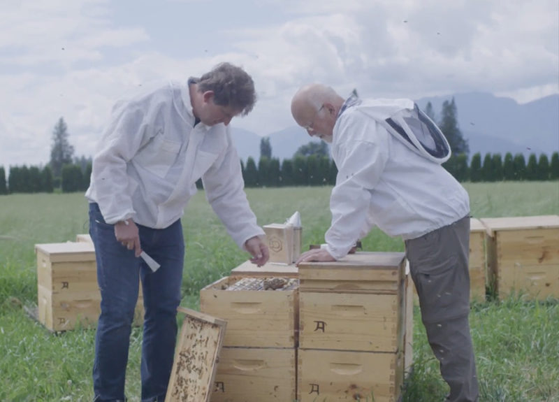 True Honey Authenticity – Protecting the honey industry from ...